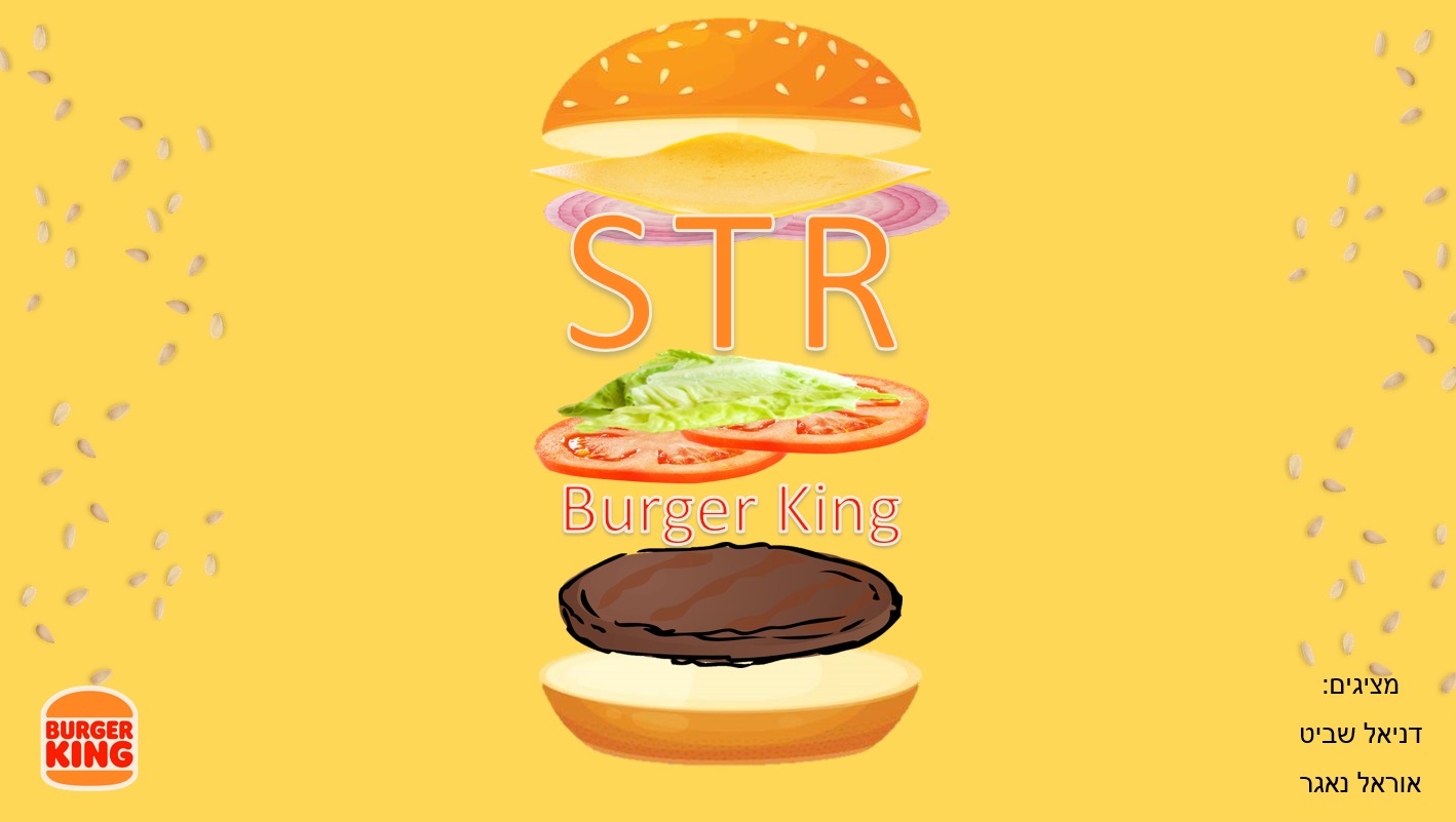 Daniel Shavit Resume